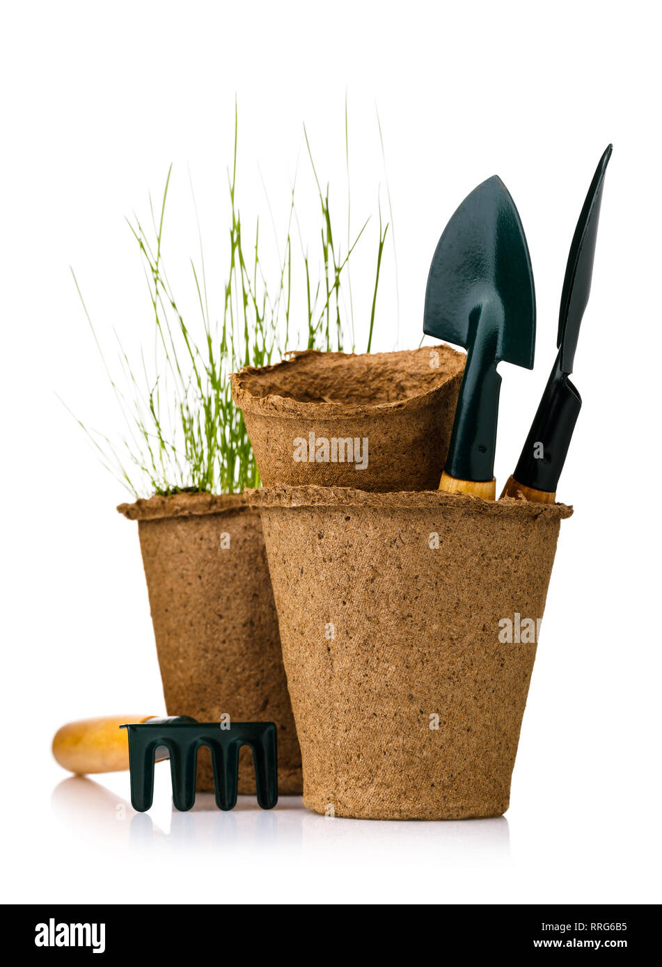 Tools for gardening: peat pot with seedlings and shovels isolated on ...