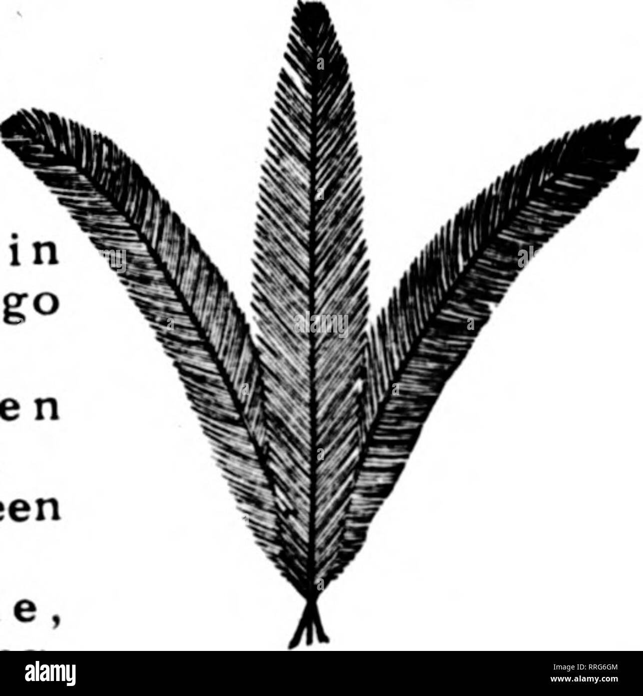 16 x 24 9 Black and White Stock Photos & Images - Alamy