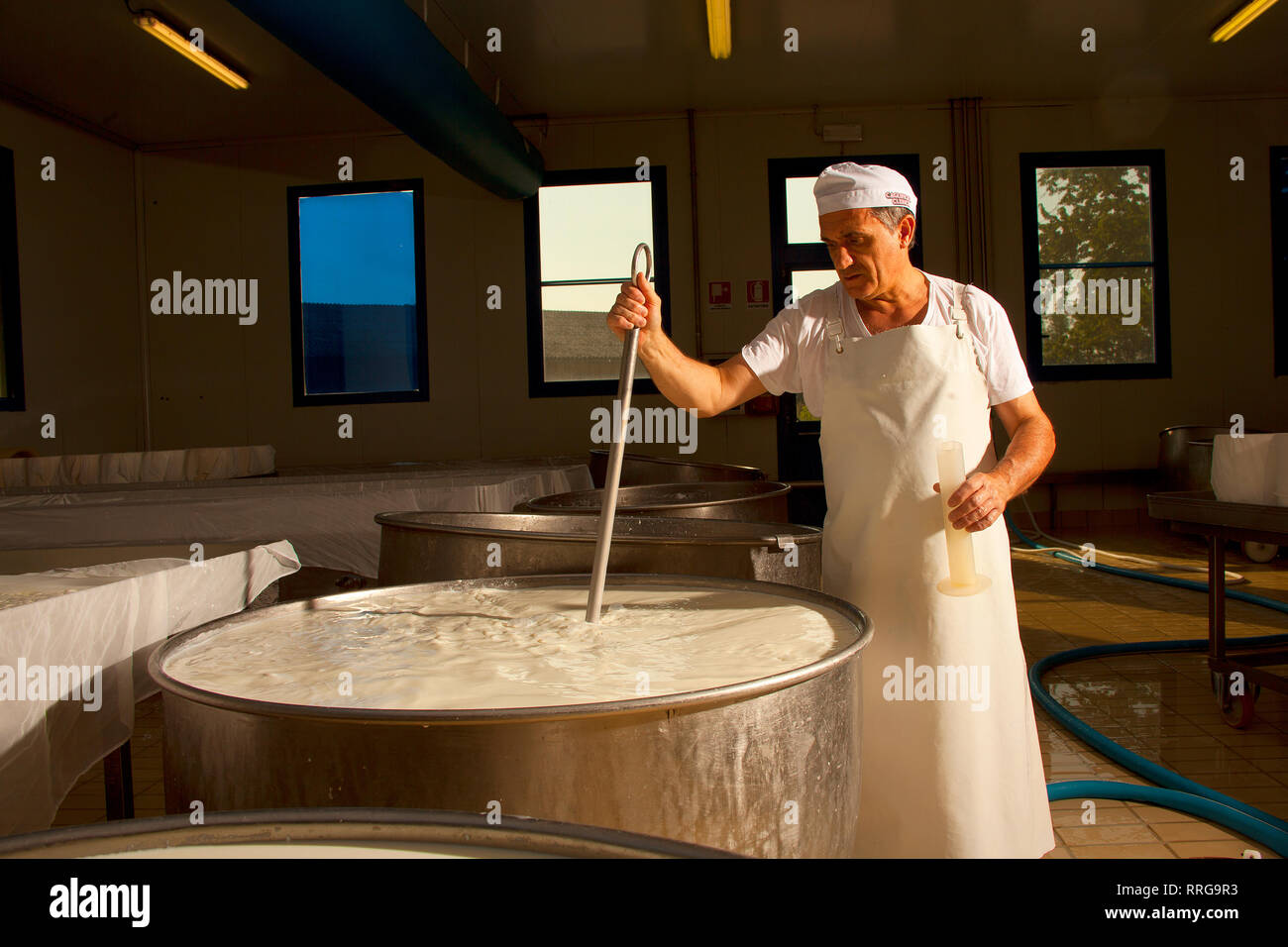 Production of cheese hi-res stock photography and images - Alamy