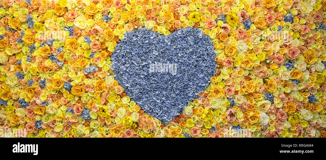 Heart surrounded by a sea of roses on a wall for Valentine's Day ...