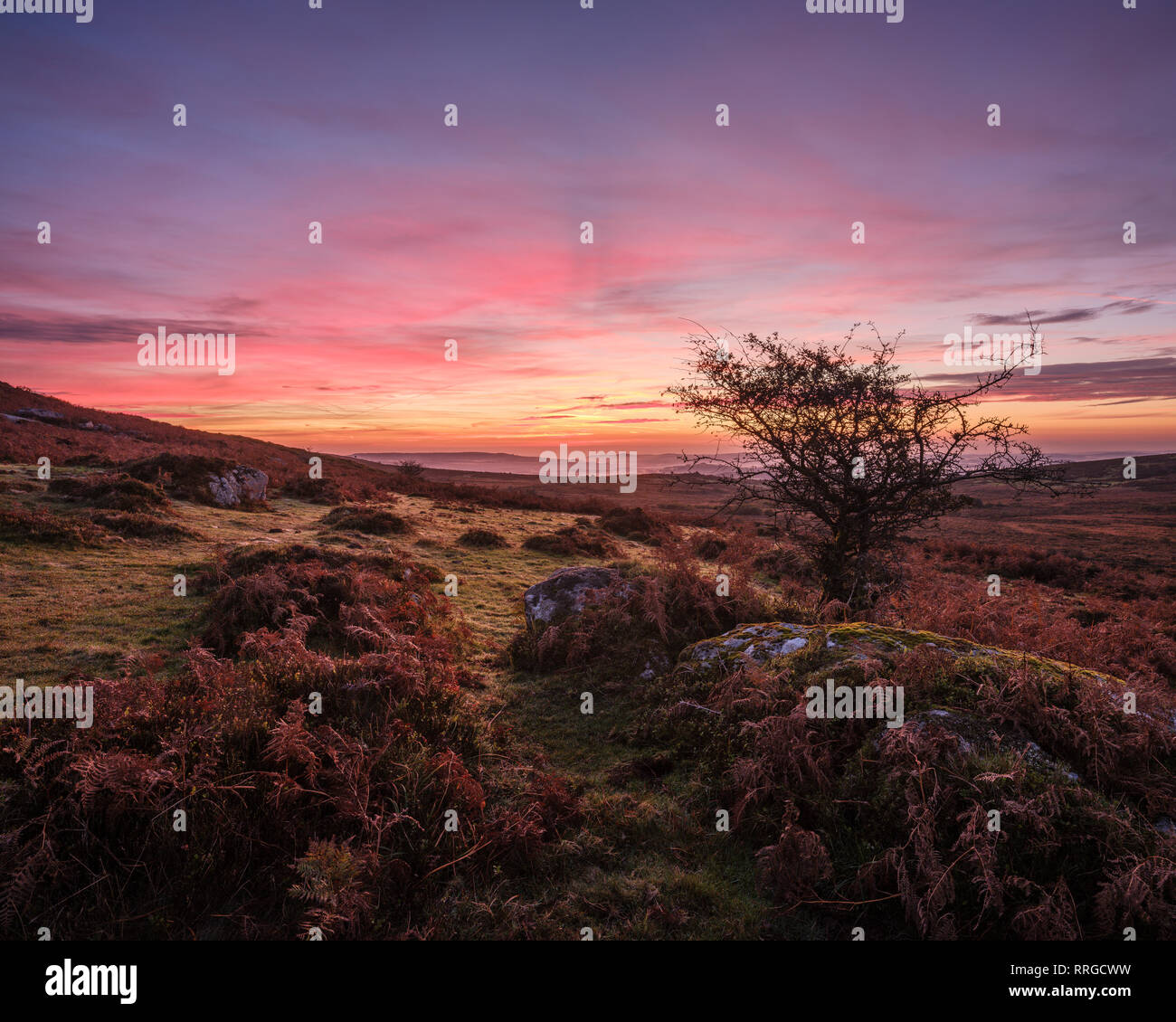Twilight on the slopes below Saddle Tor with mist in the Teign Valley ...
