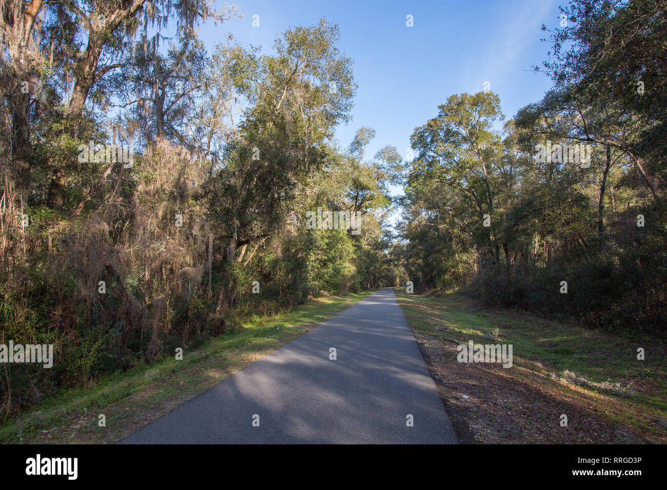 Hiking and bicycling trail through a beautiful forest in central ...