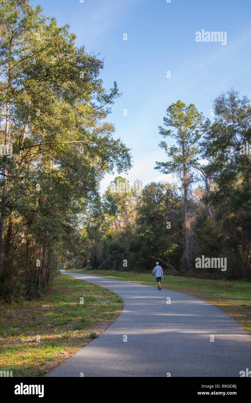 Hiking and bicycling trail through a beautiful forest in central ...