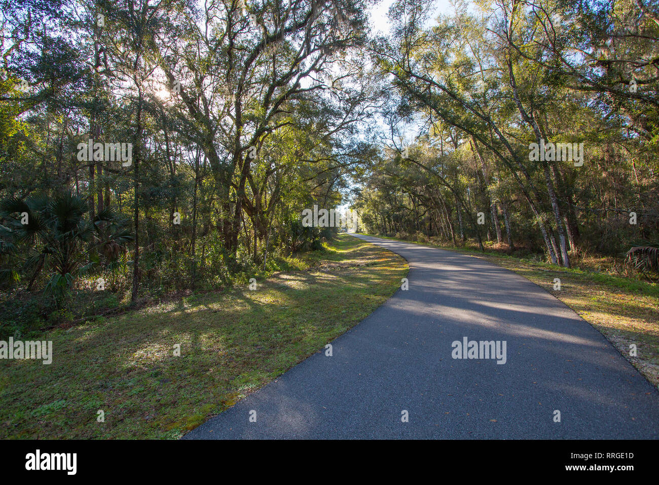 Hiking and bicycling trail through a beautiful forest in central ...