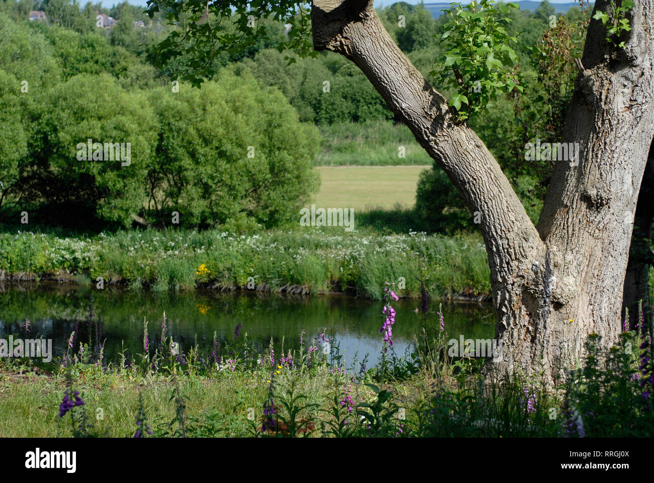 Moat brae house and garden hi-res stock photography and images - Alamy