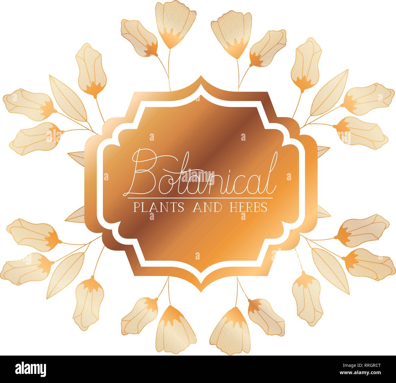 botanical label with plants and herbs Stock Vector Image & Art - Alamy