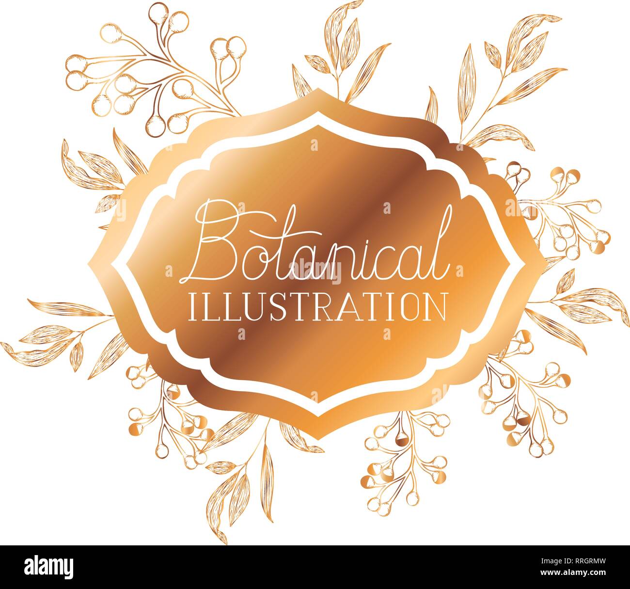 botanical illustration label with plants Stock Vector Image & Art - Alamy