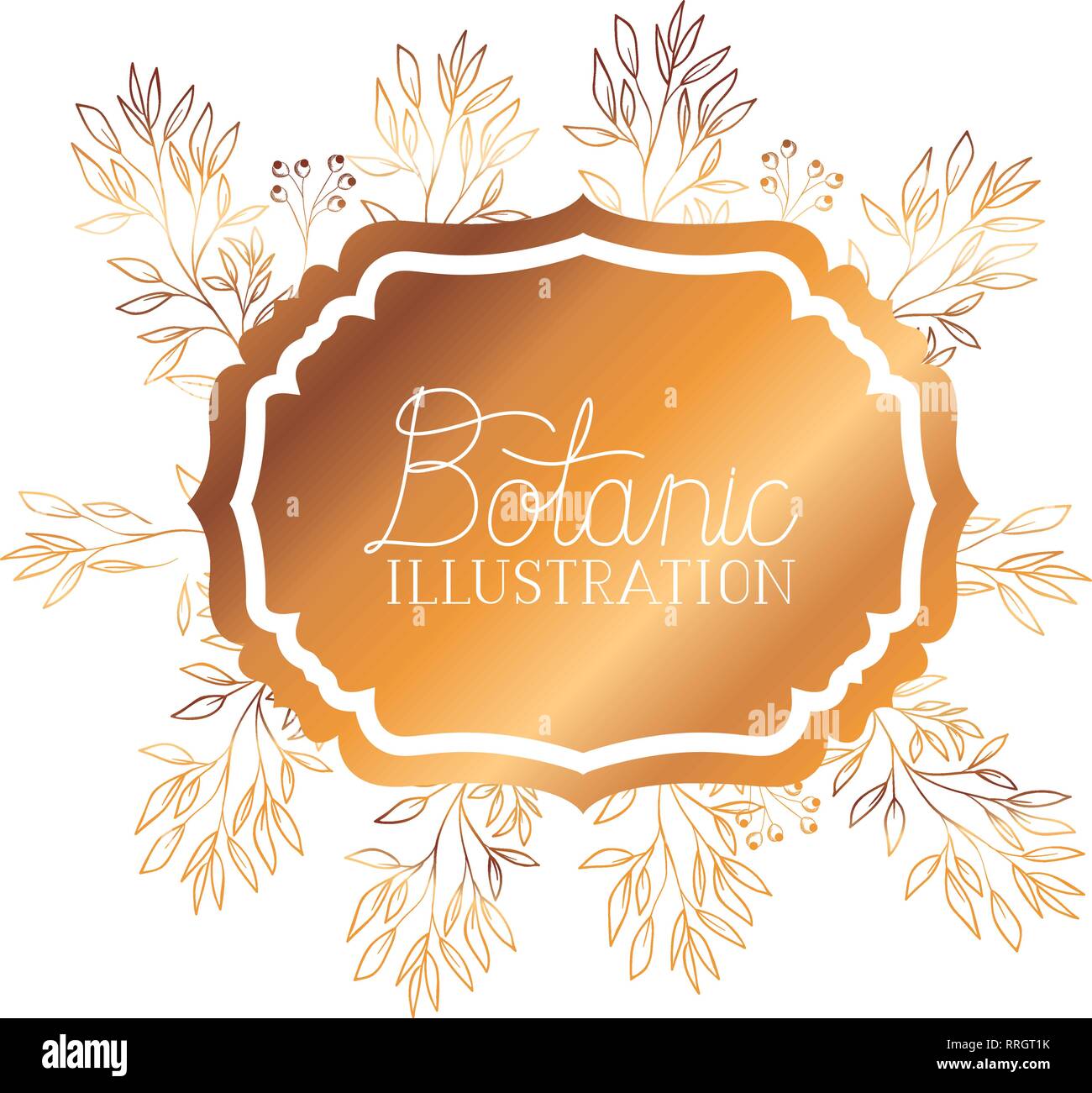 botanic illustration label with plants and herbs Stock Vector Image ...