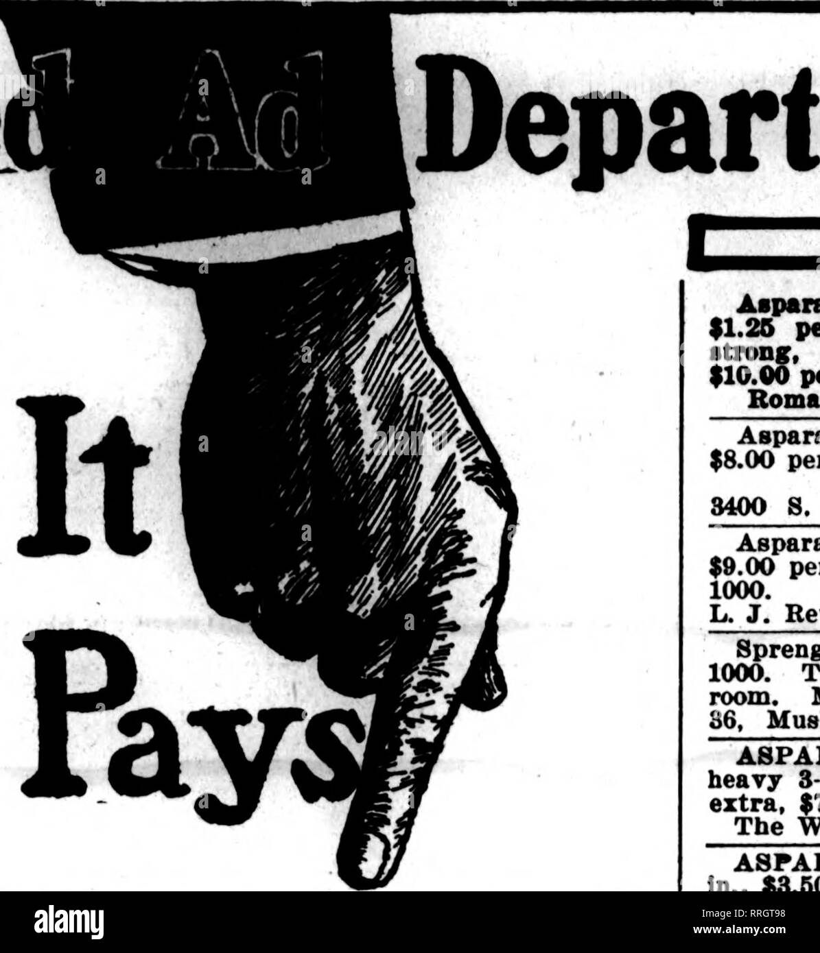 Abulia grandiflora hi-res stock photography and images - Alamy