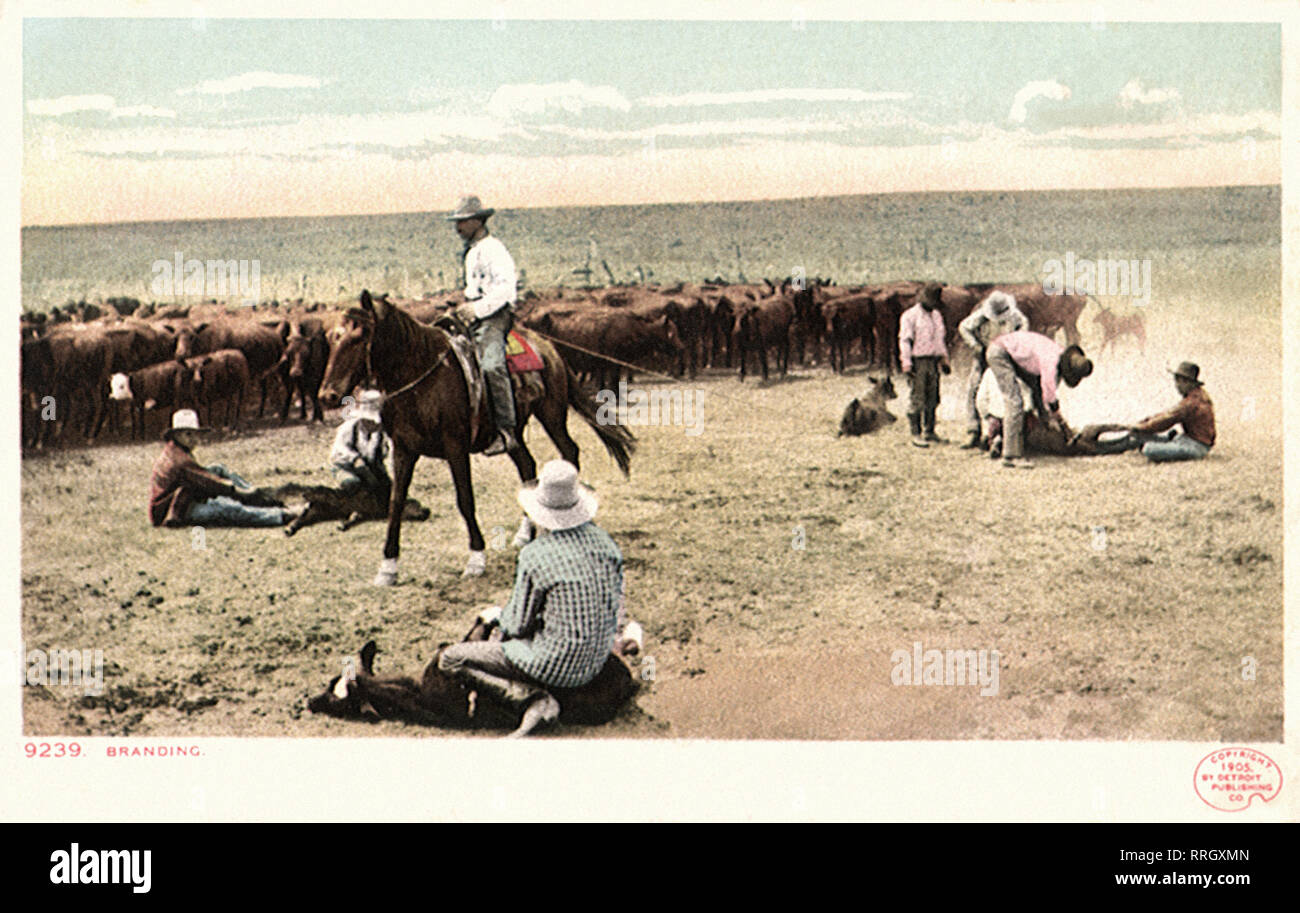 American ranch hands hi-res stock photography and images - Alamy