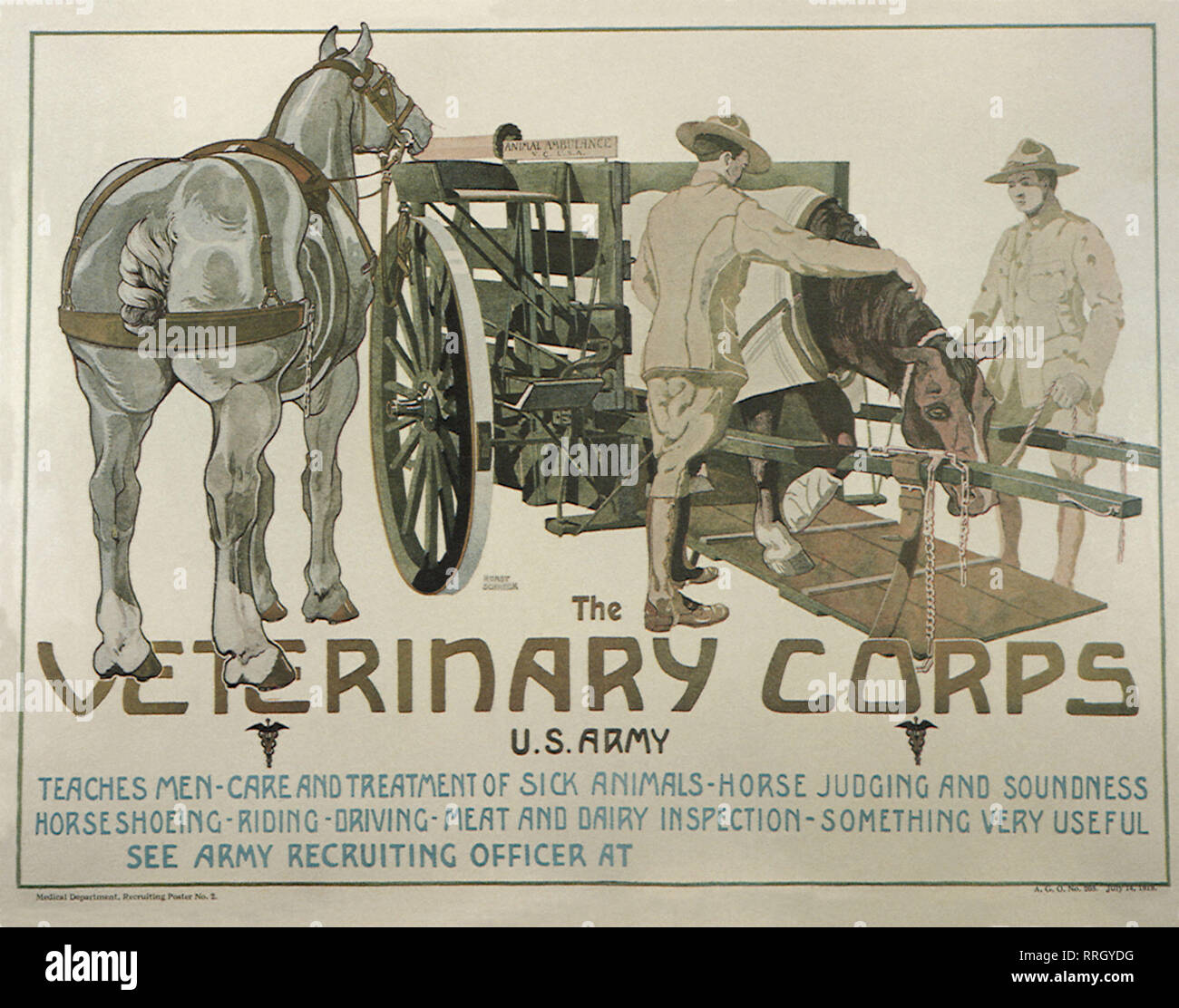 The Veterinary Corps Stock Photo - Alamy