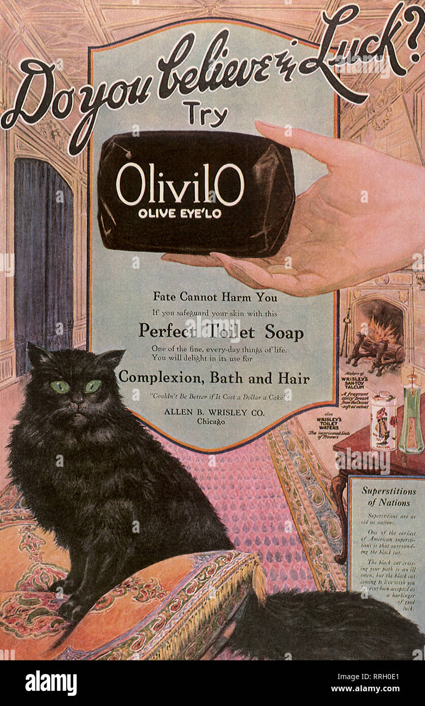 Lithographs Art & Collectibles Prints Vintage Cat Print Cat ...