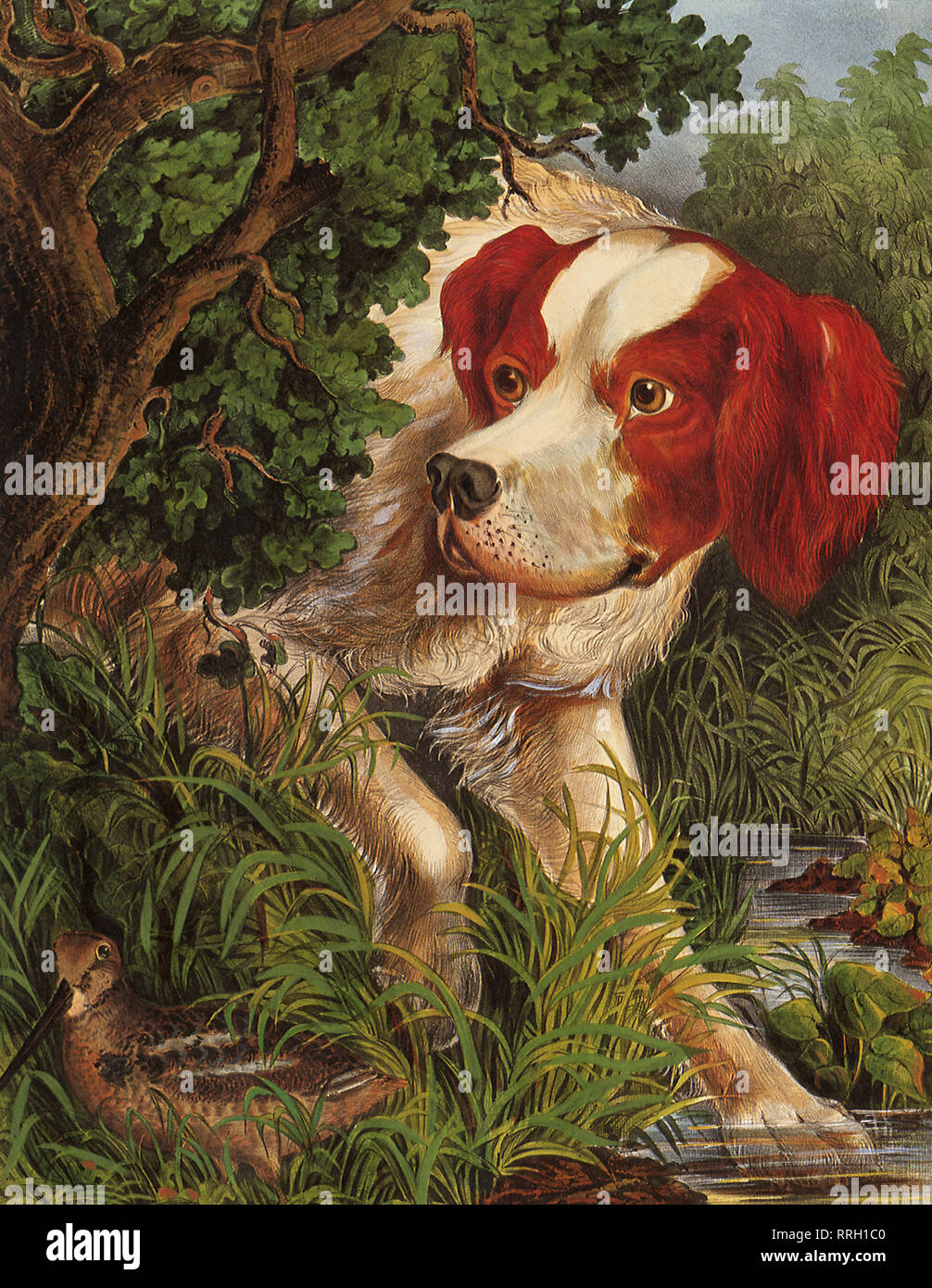 Close quarters hi-res stock photography and images - Alamy