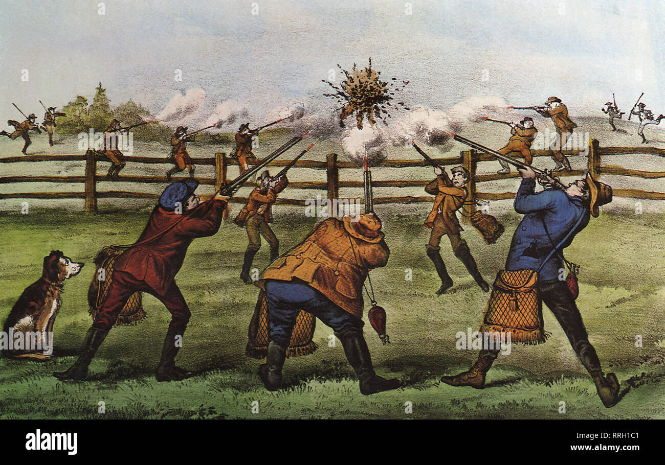 The First Bird of the Season Stock Photo - Alamy