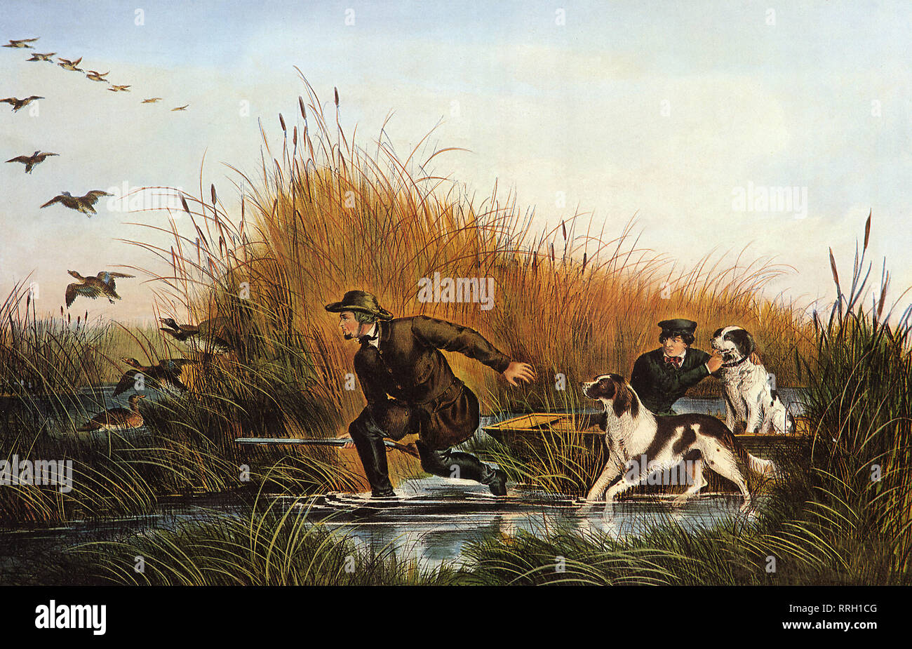 American duck hunting hi-res stock photography and images - Alamy