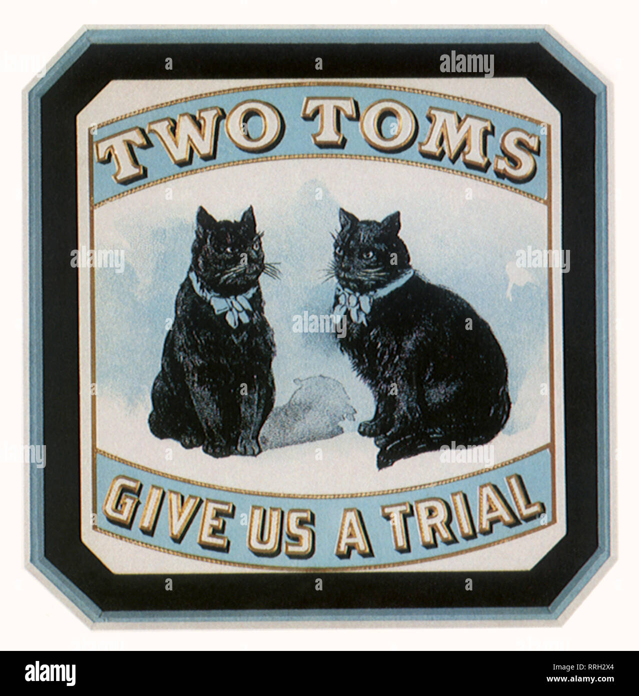 Two Toms Give Us a Trial Stock Photo - Alamy