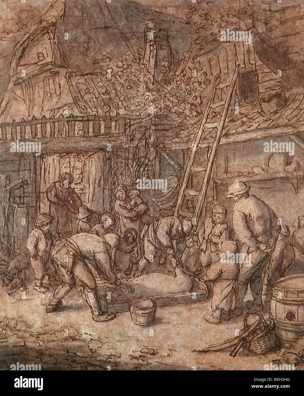 The Bleeding of the Pig Stock Photo - Alamy