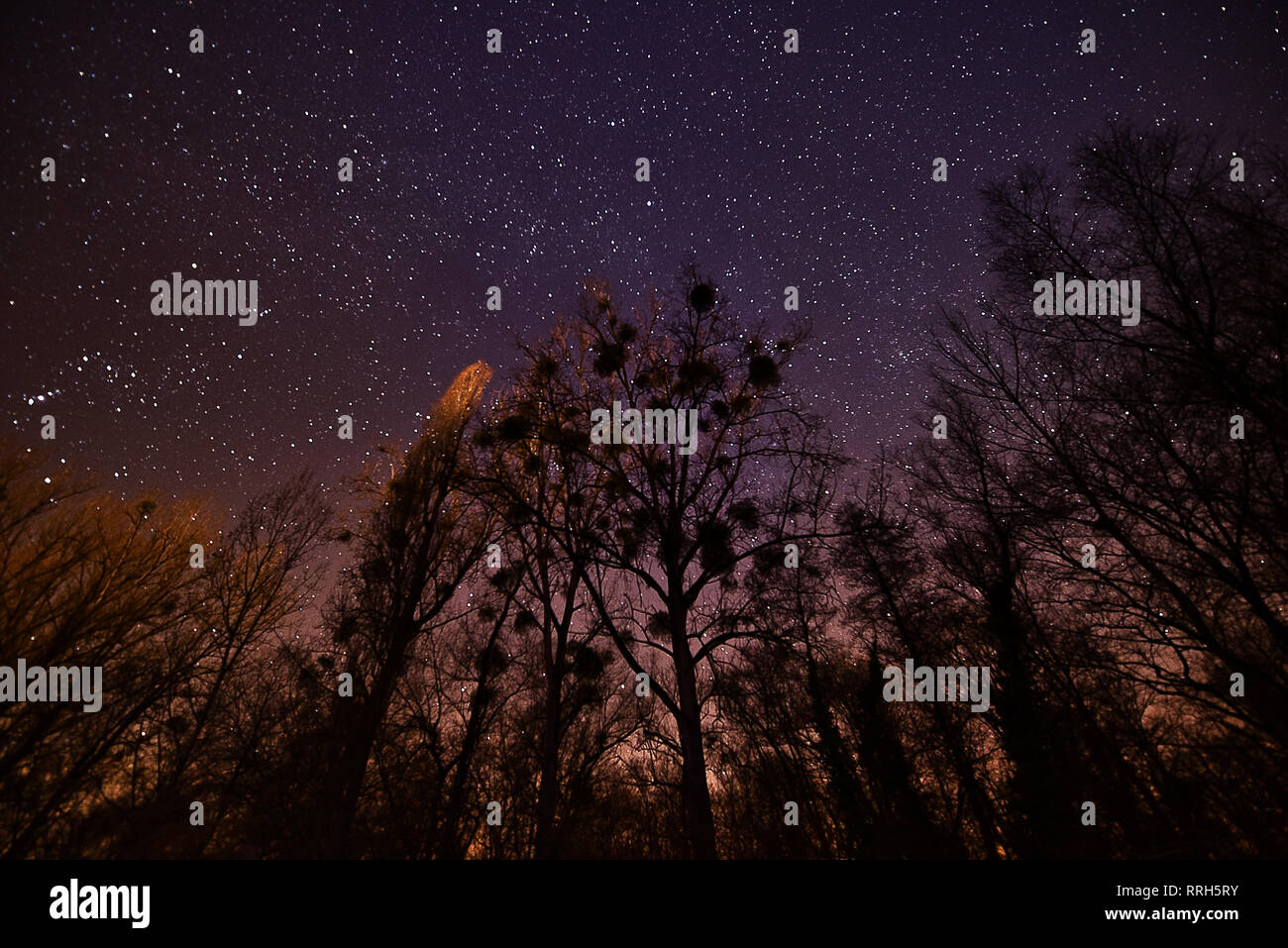 Night Sky Stars Forest River Stock Photo - Alamy