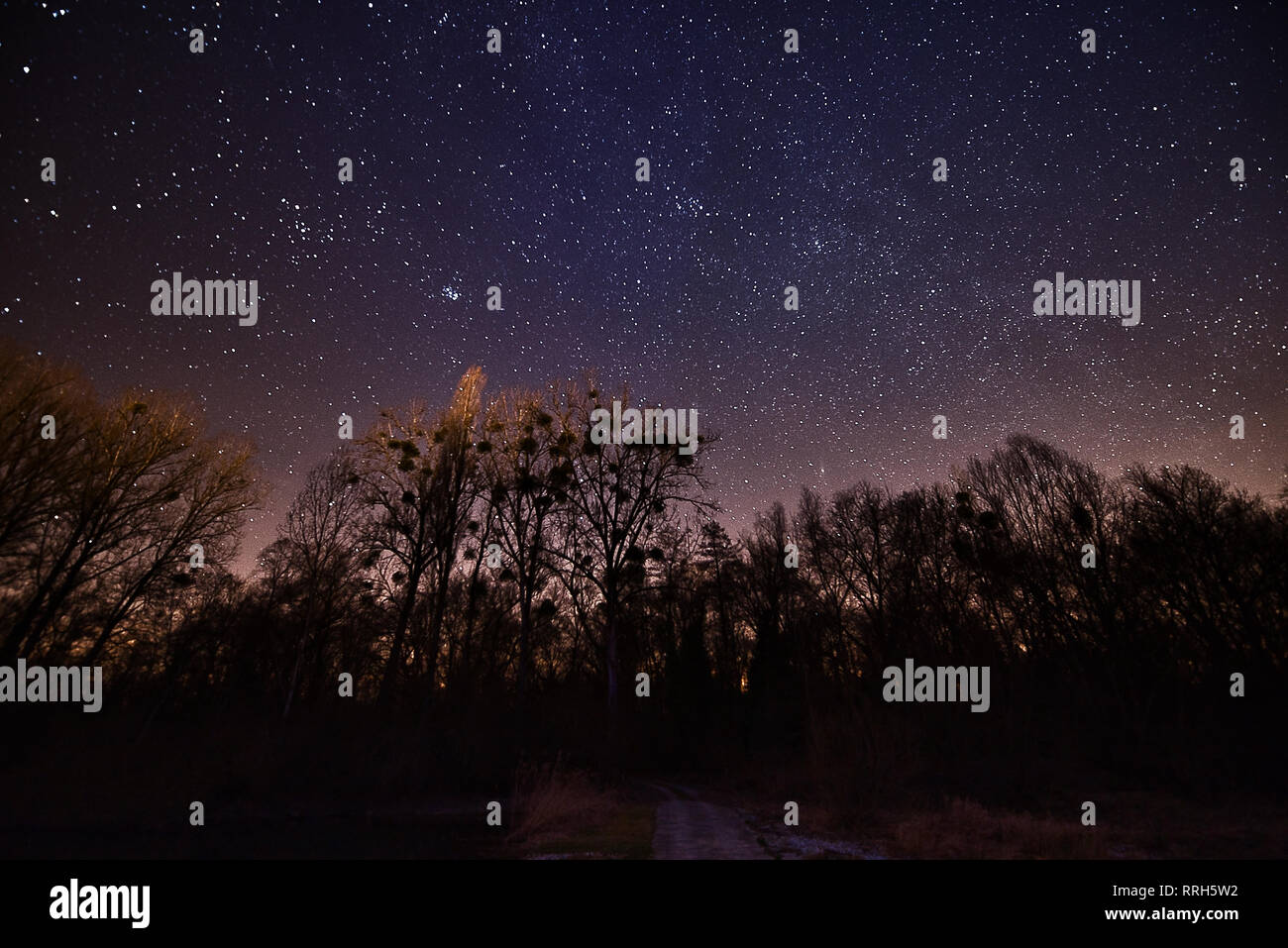 Night Sky Stars Forest River Stock Photo - Alamy