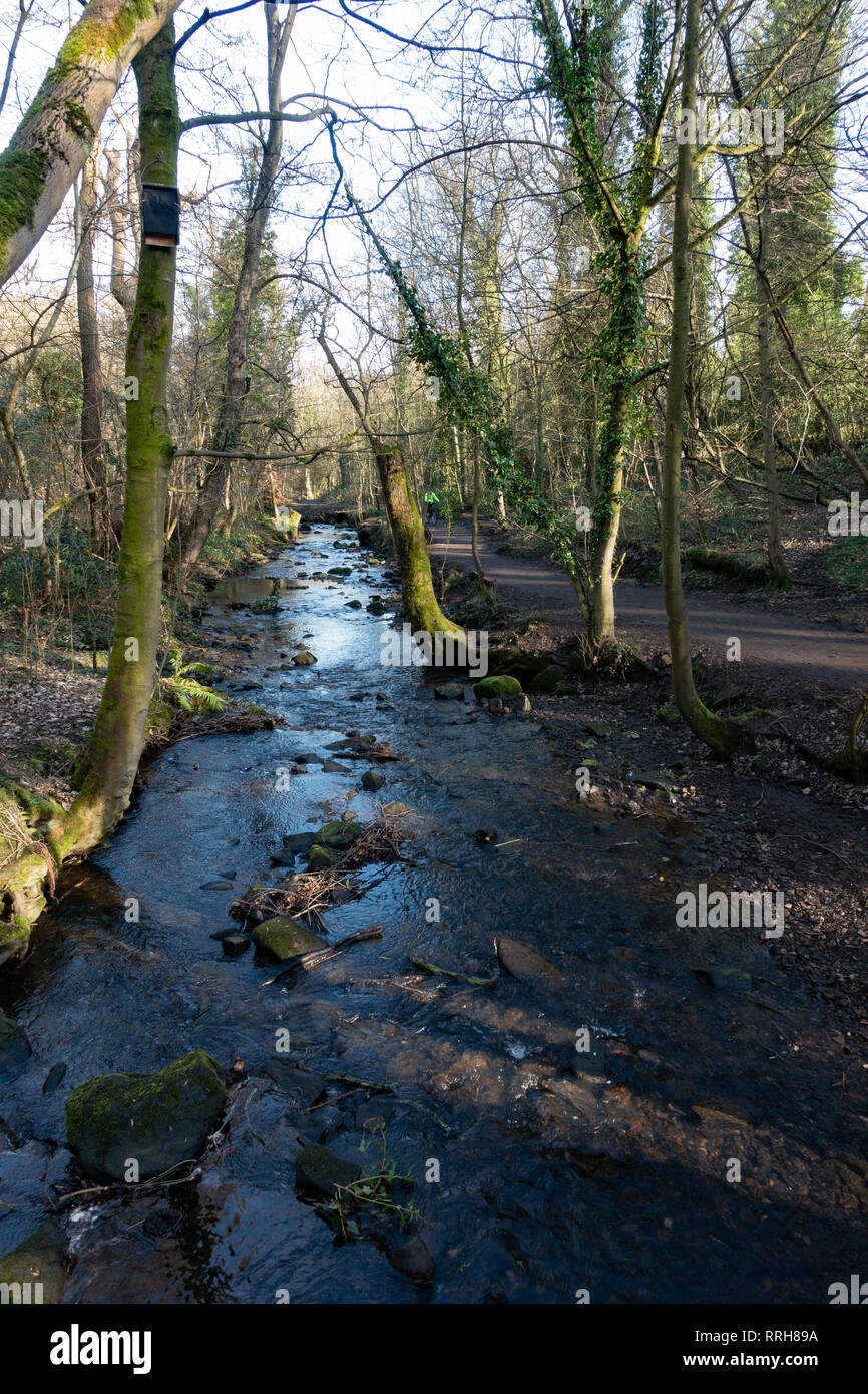 A nature walk in the Porter Valley, Sheffield, South Yorkshire Stock ...