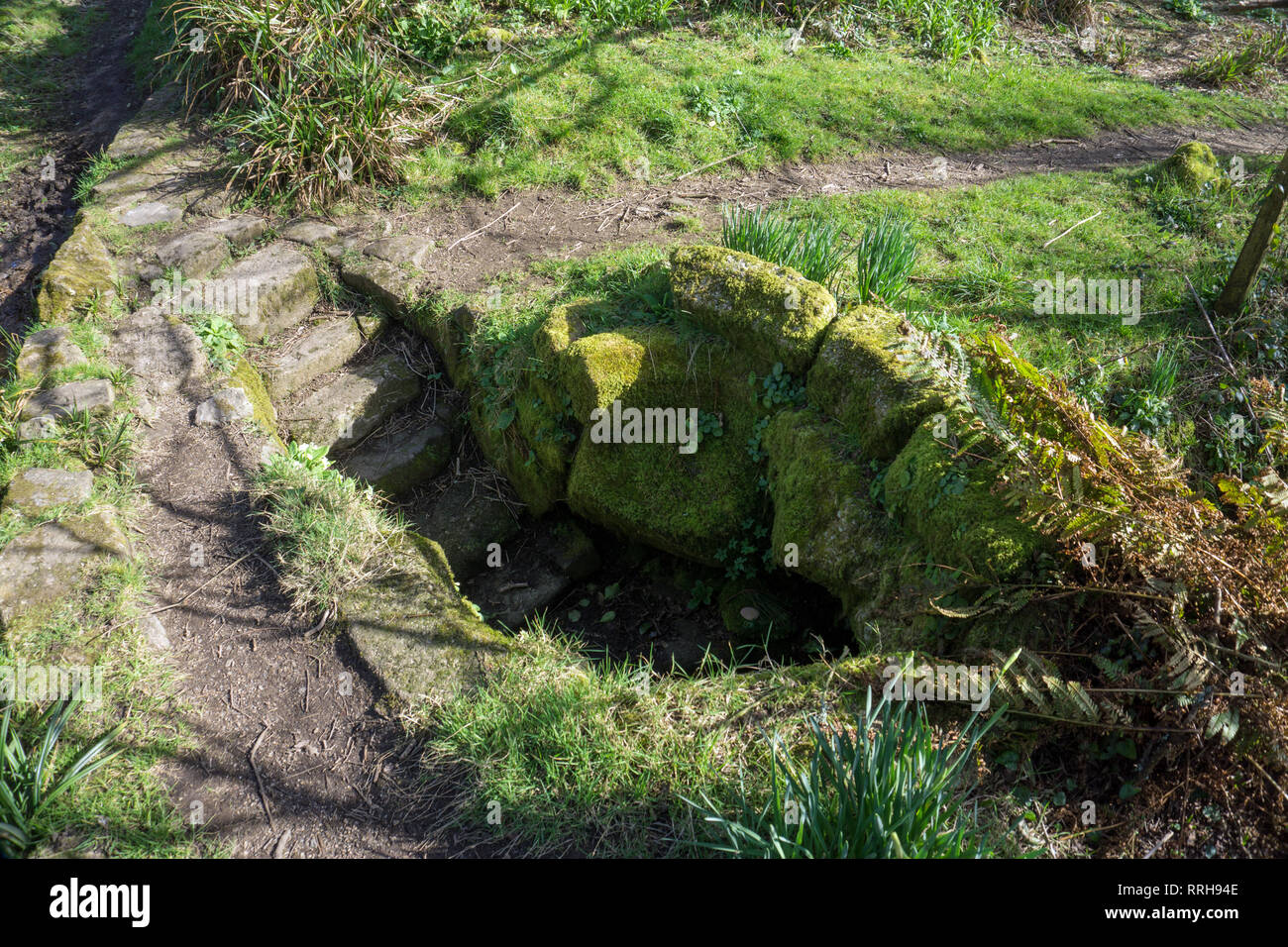 The Steps Down to Chapel Euny Well, near Carn Euny Ancient Village ...