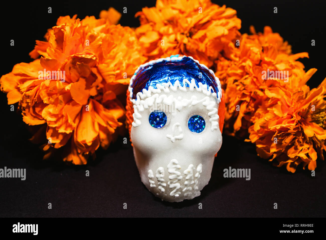 Mexico flower cempasuchil hi-res stock photography and images - Alamy