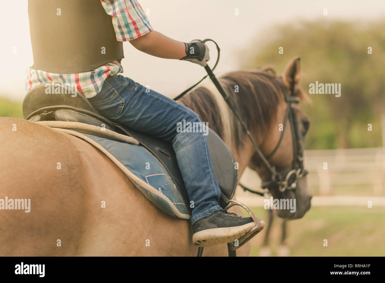 Kids learn to ride a horse near the river before sunset Stock Photo - Alamy