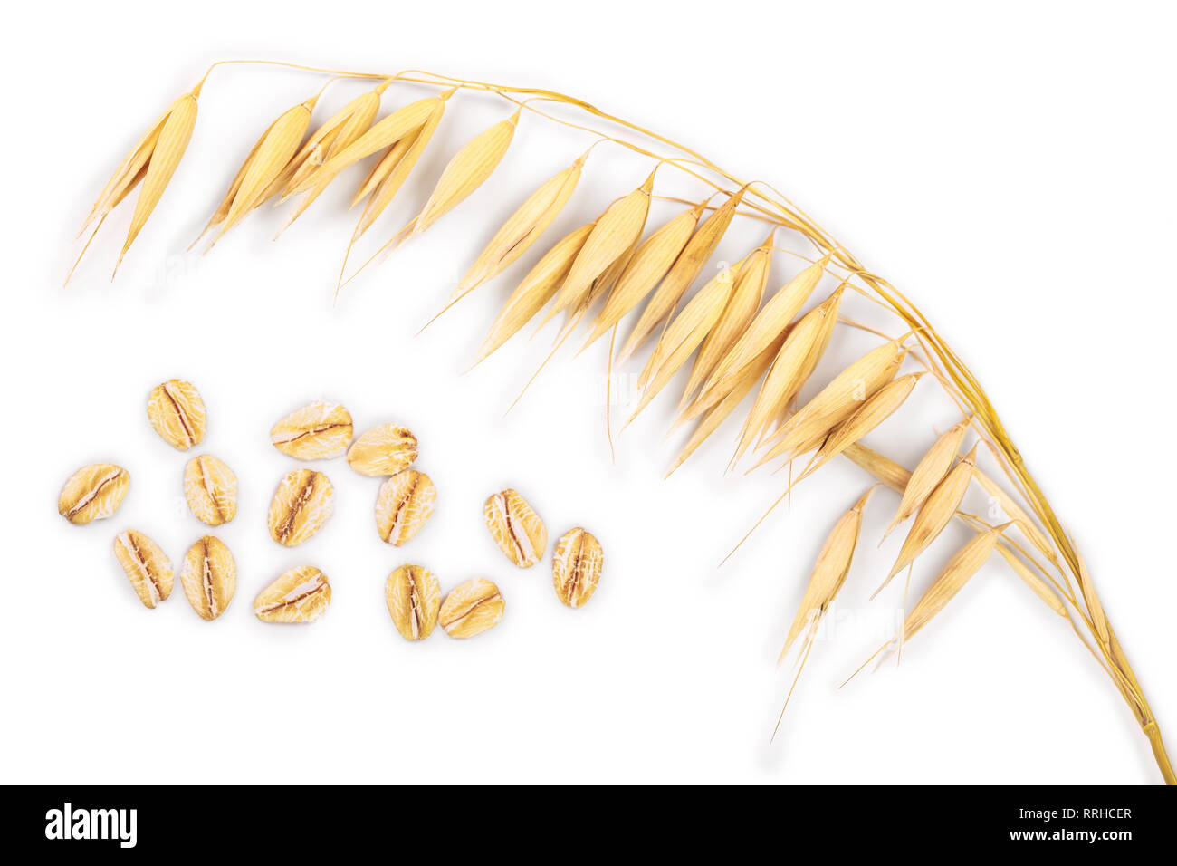 oat spike with oat flakes isolated on white background. Top view. Flat ...
