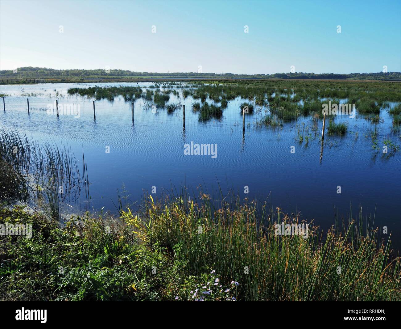 View over the open wetlands at St Aidan's Nature Park RSPB reserve near ...