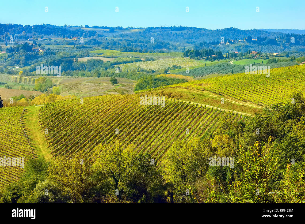 Tuscan landscape with vineyards rows, houses in Tuscany wine region ...