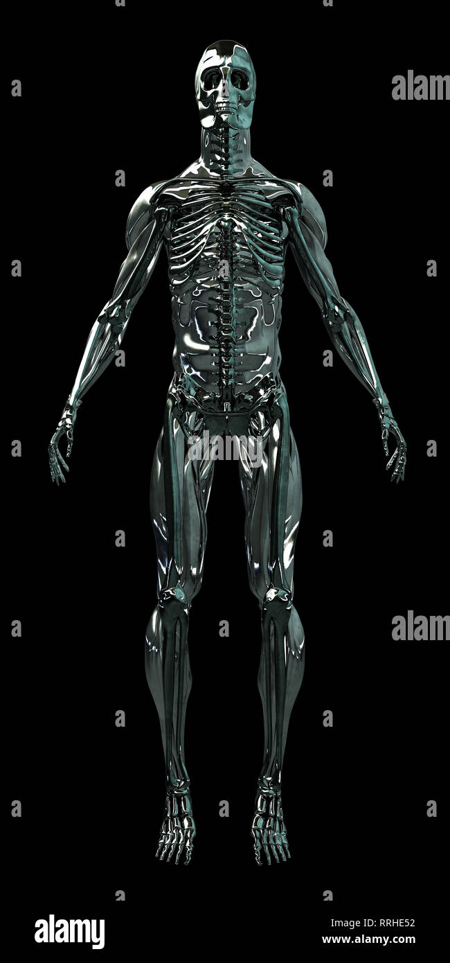 Muscle tissue hi-res stock photography and images - Alamy