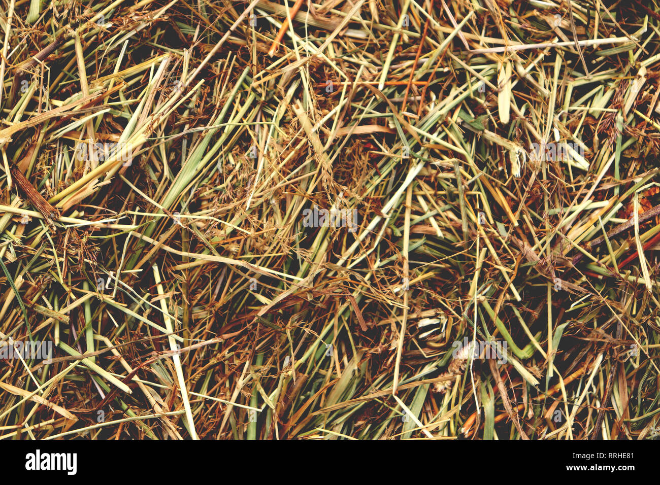 Farming texture hi-res stock photography and images - Alamy