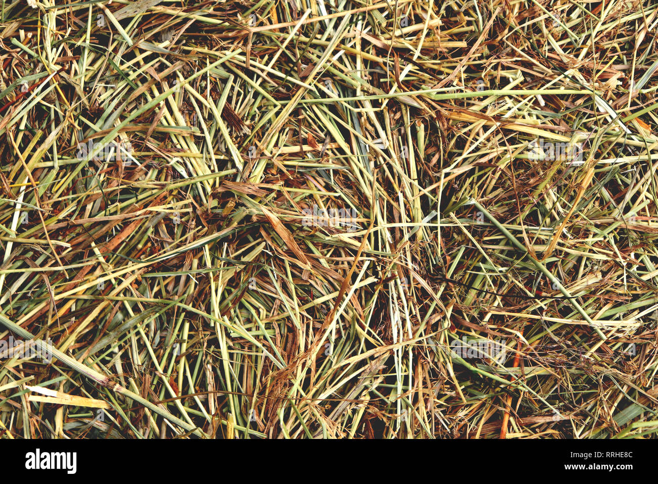 Farm texture hi-res stock photography and images - Alamy