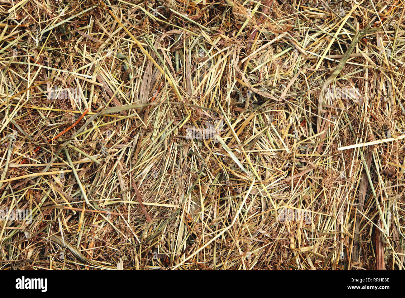 Agricultural texture hi-res stock photography and images - Alamy