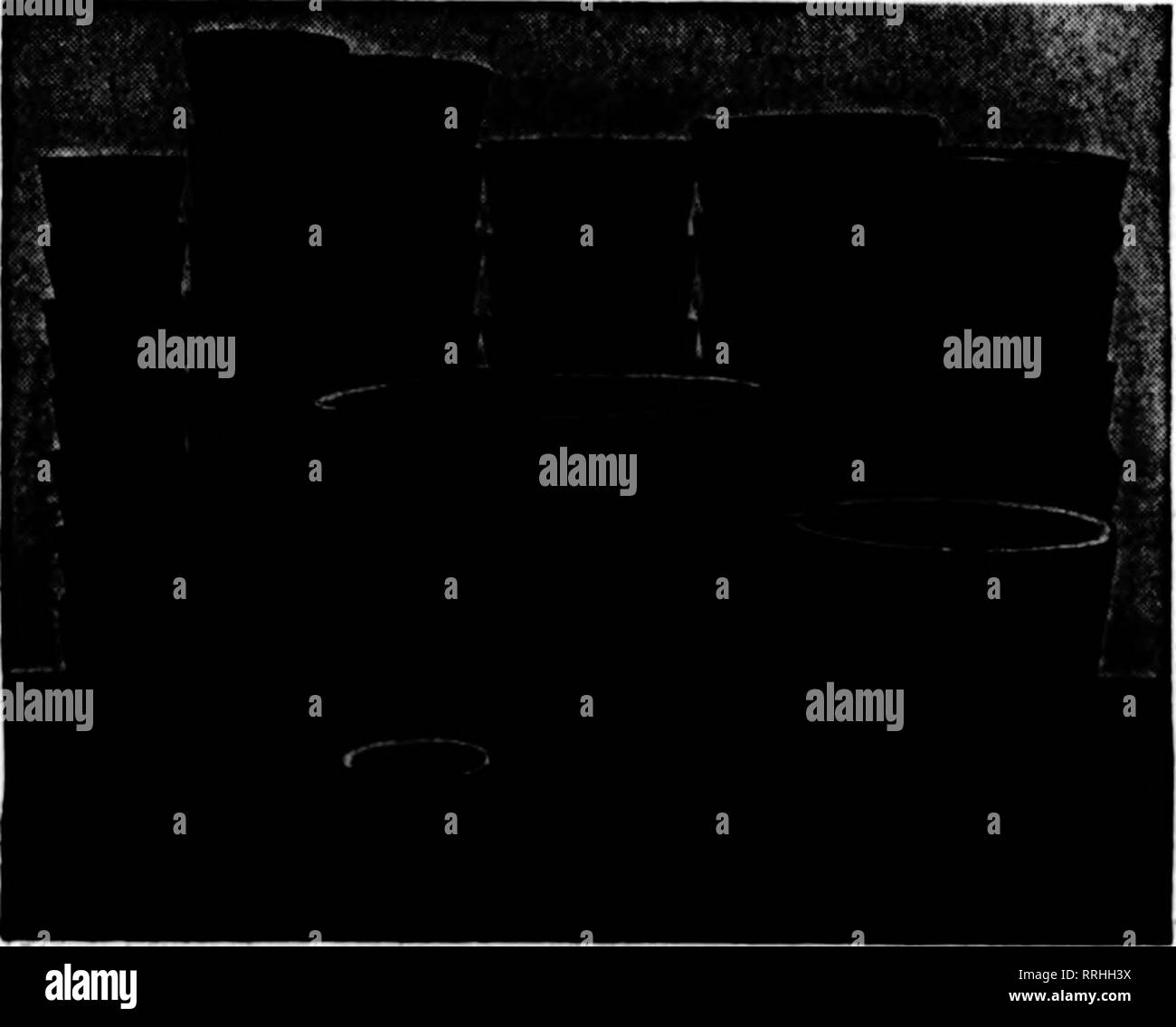 Nice tab Black and White Stock Photos & Images - Alamy