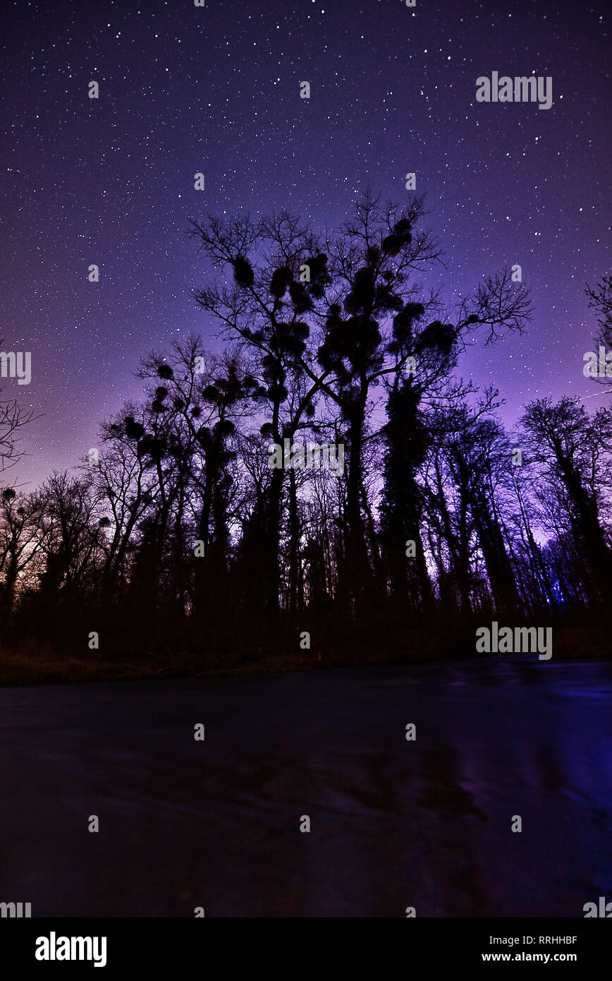 Night Sky Stars Forest River Stock Photo - Alamy