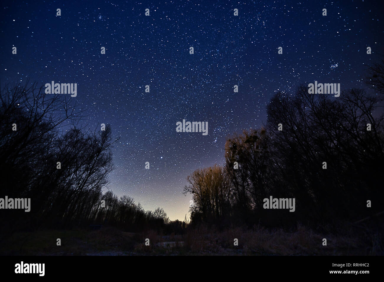 Night Sky Stars Forest River Stock Photo - Alamy