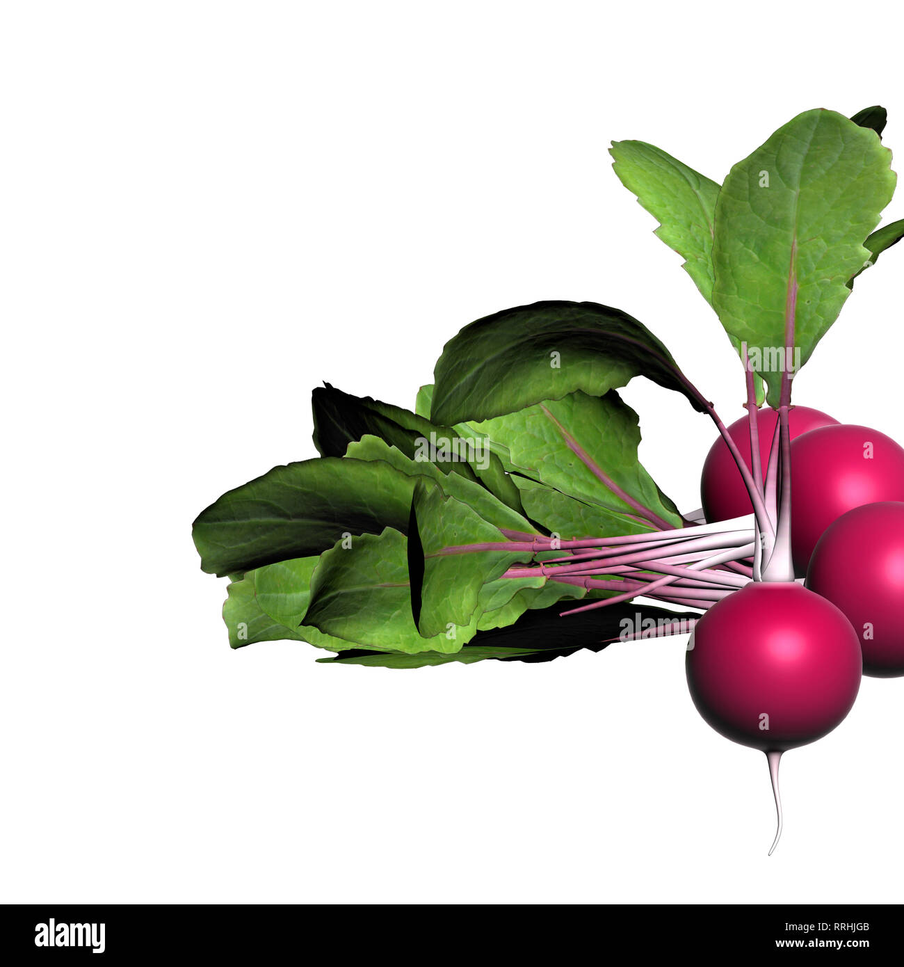3d render radish Stock Photo - Alamy