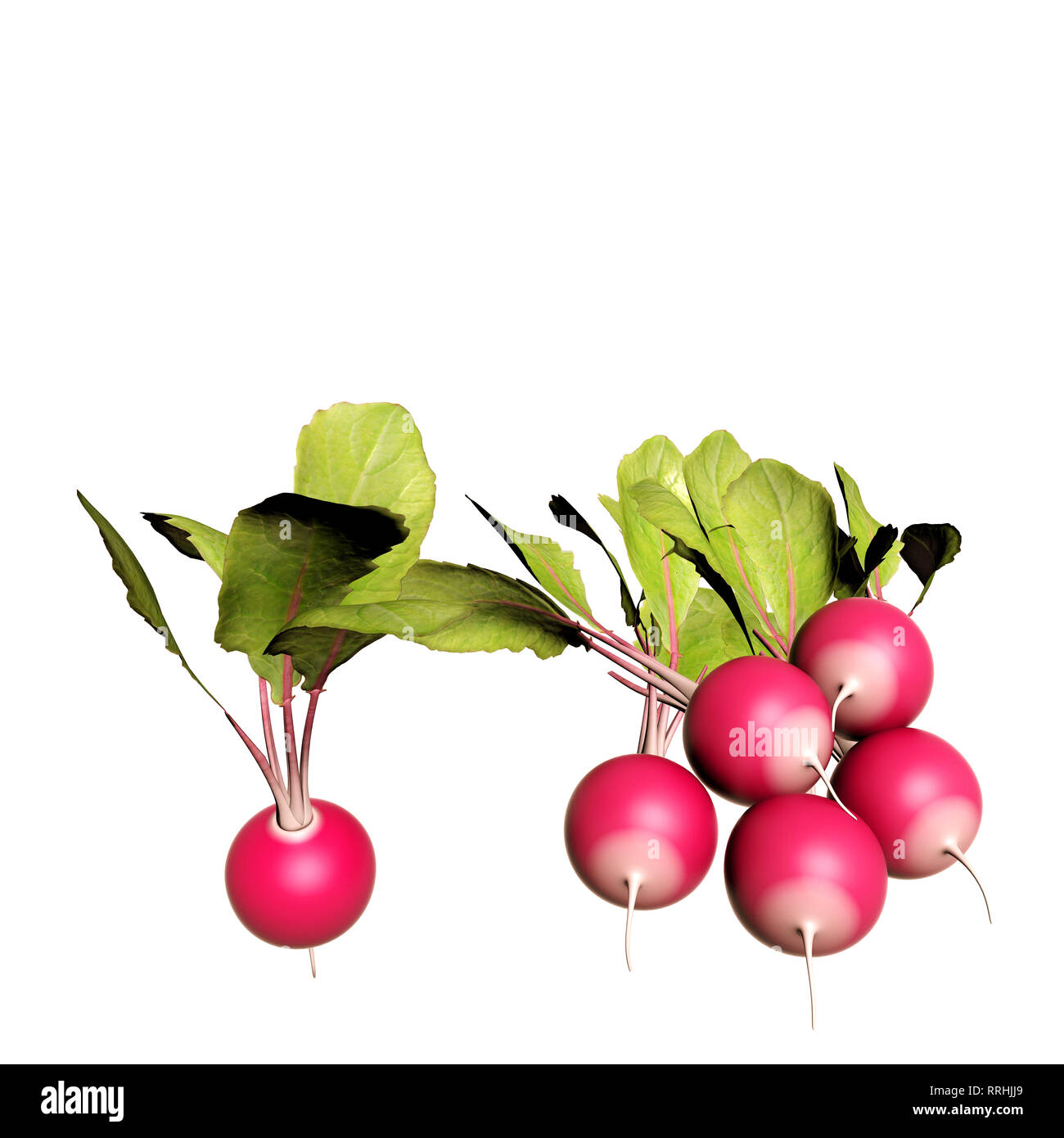 3d render radish Stock Photo - Alamy