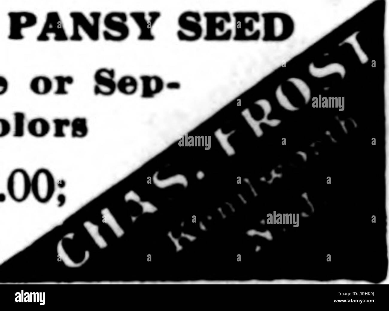 Spinach j Black and White Stock Photos & Images - Alamy