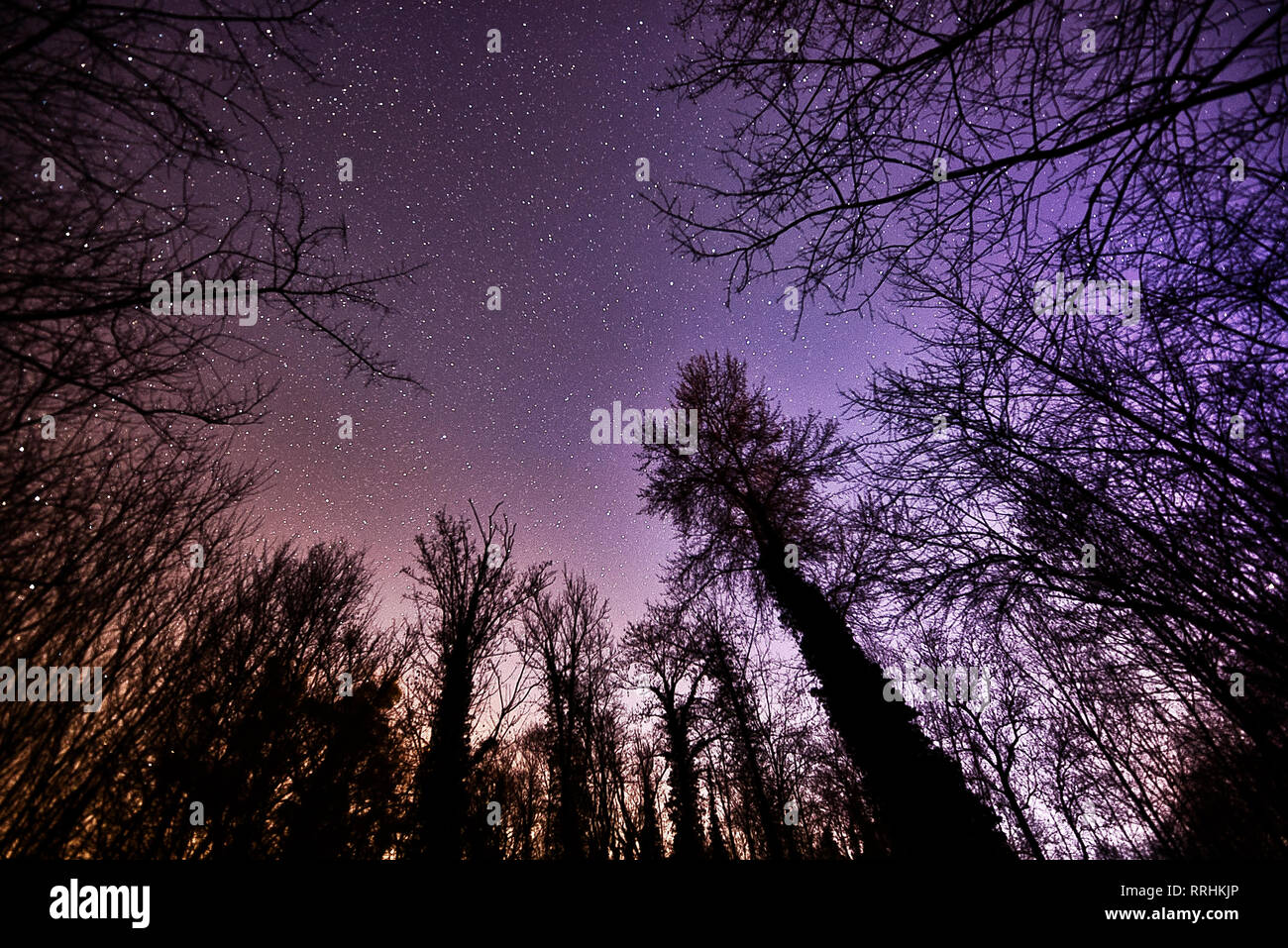 Night Sky Stars Forest River Stock Photo - Alamy