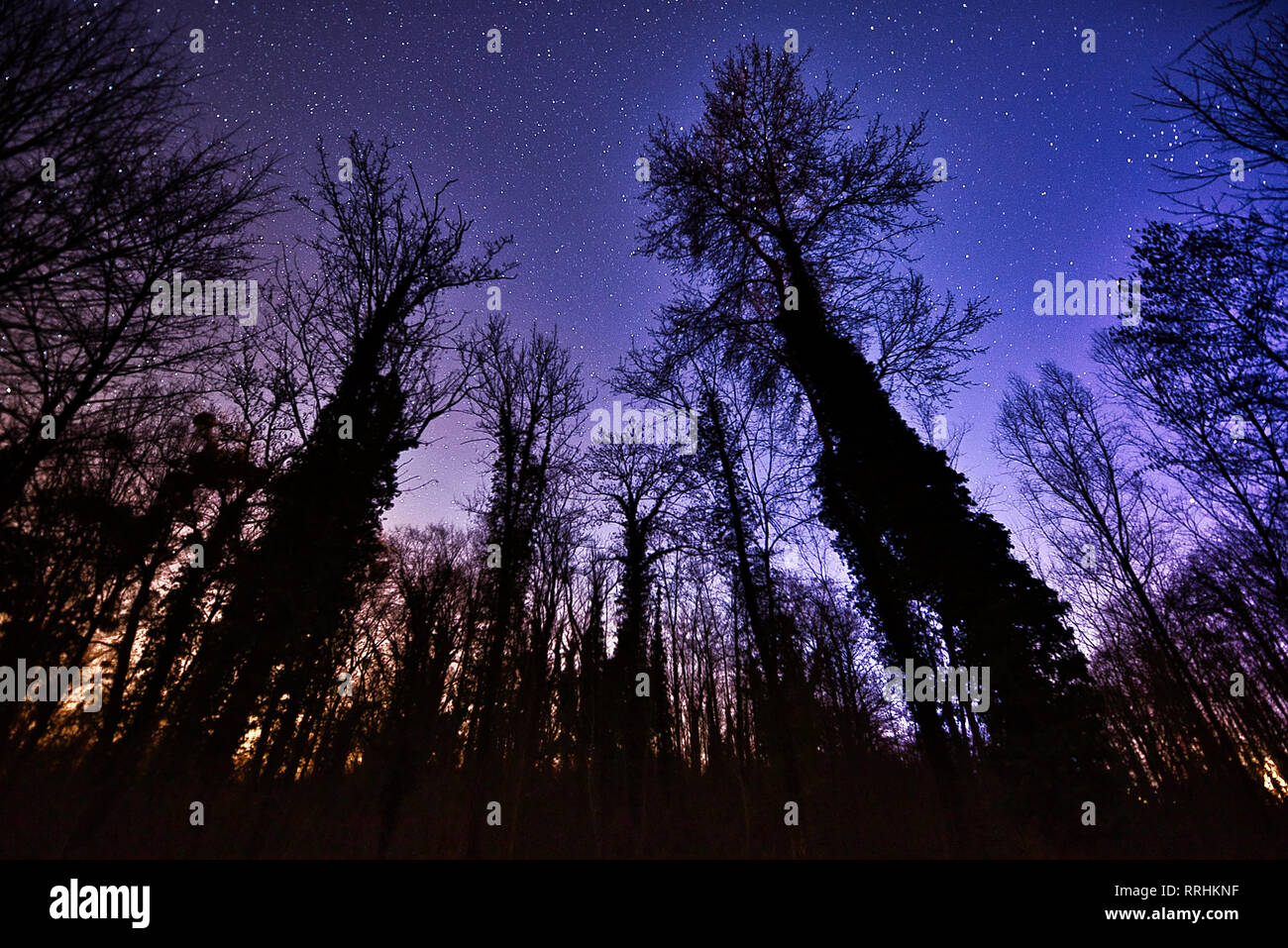Night Sky Stars Forest River Stock Photo - Alamy