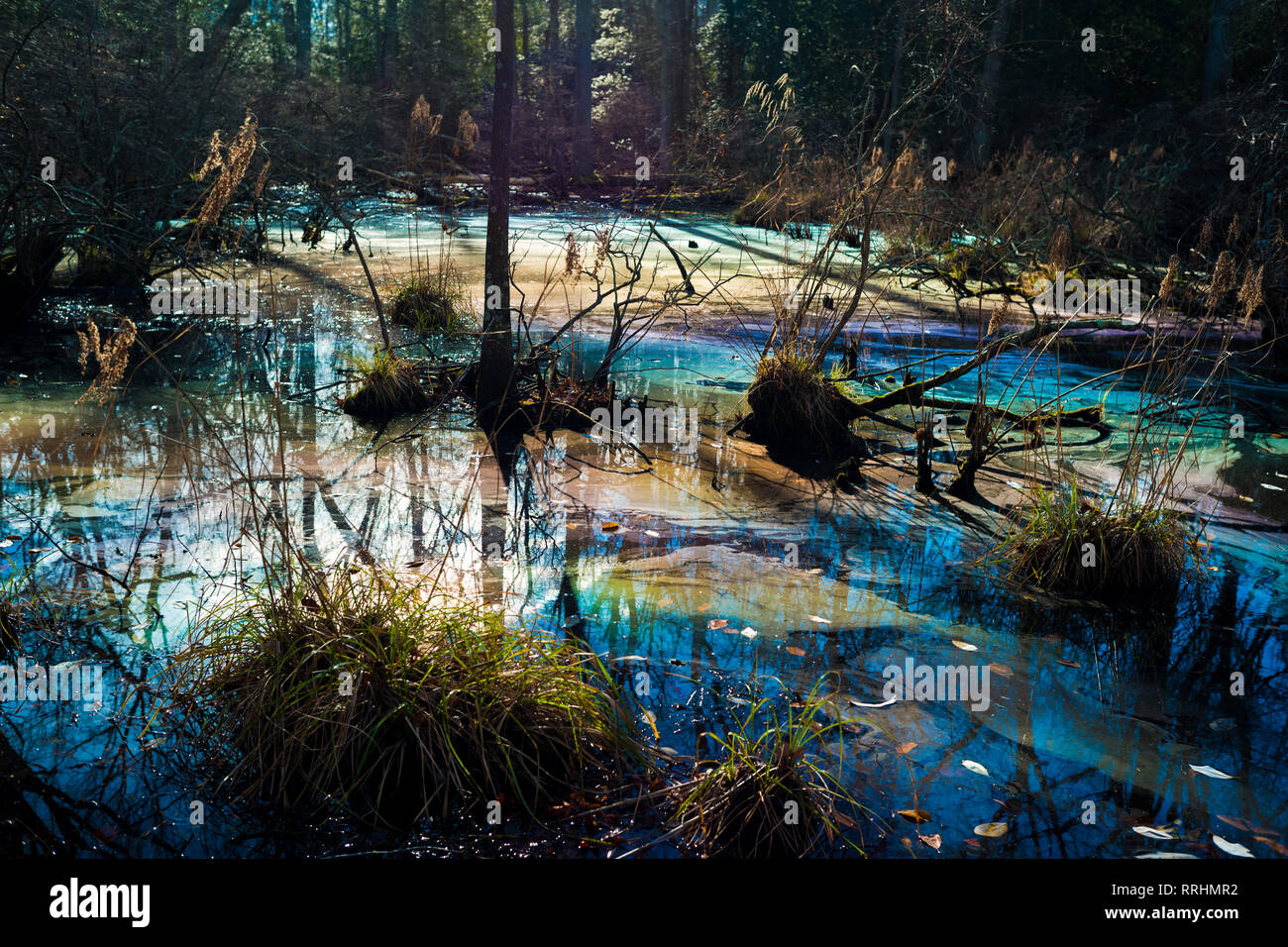 Colorful toxic water pollution in wetland environmental hazard ...