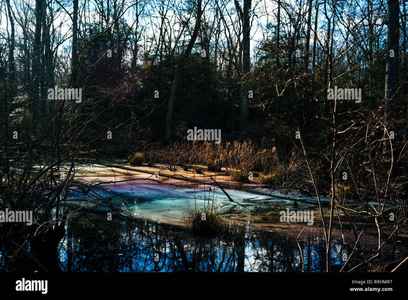 Colorful toxic water pollution in wetland environmental hazard ...