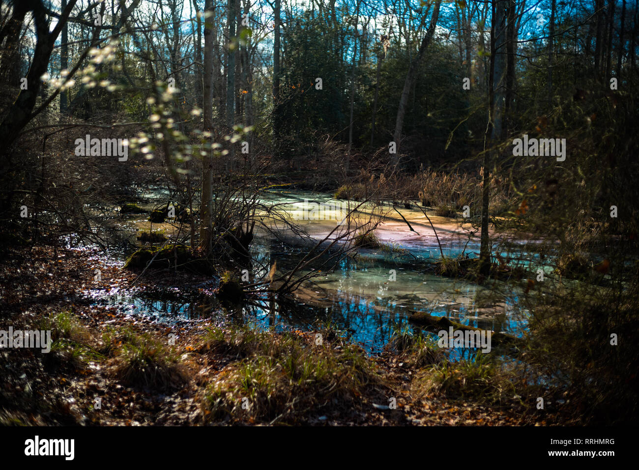 Colorful toxic water pollution in wetland environmental hazard ...