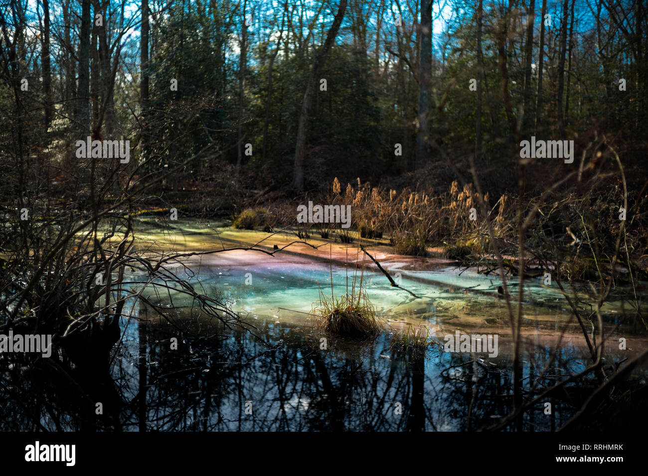 Colorful toxic water pollution in wetland environmental hazard ...