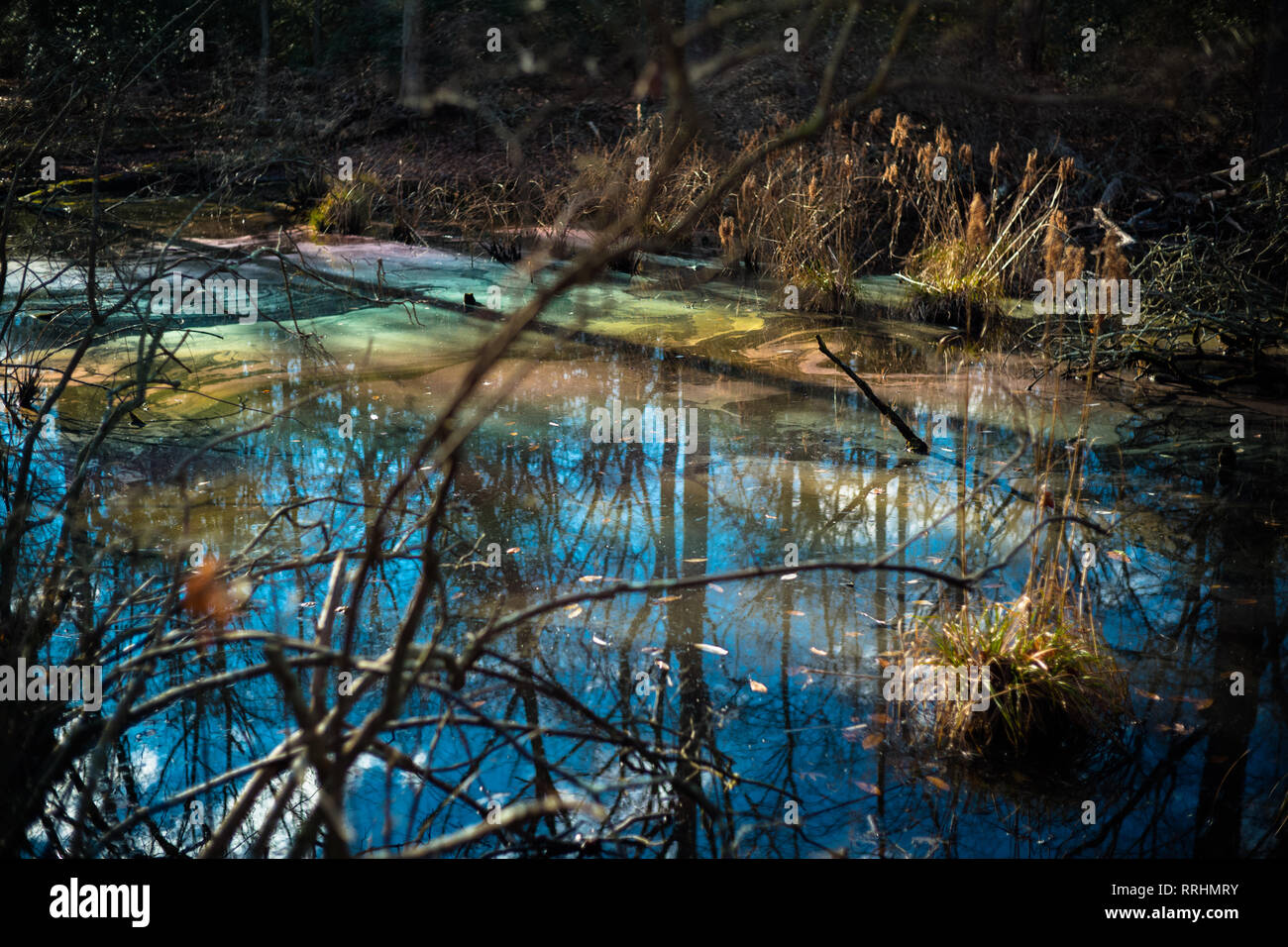 Colorful toxic water pollution in wetland environmental hazard ...