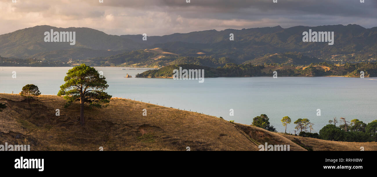 Countryside at Coromandel Town, Coromandel Peninsula, North Island, New ...