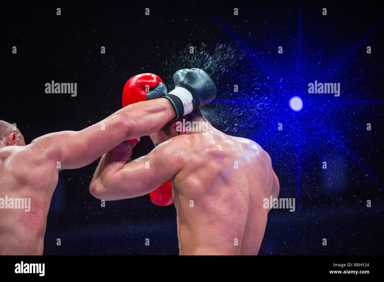 Two professional boxer boxing Stock Photo - Alamy
