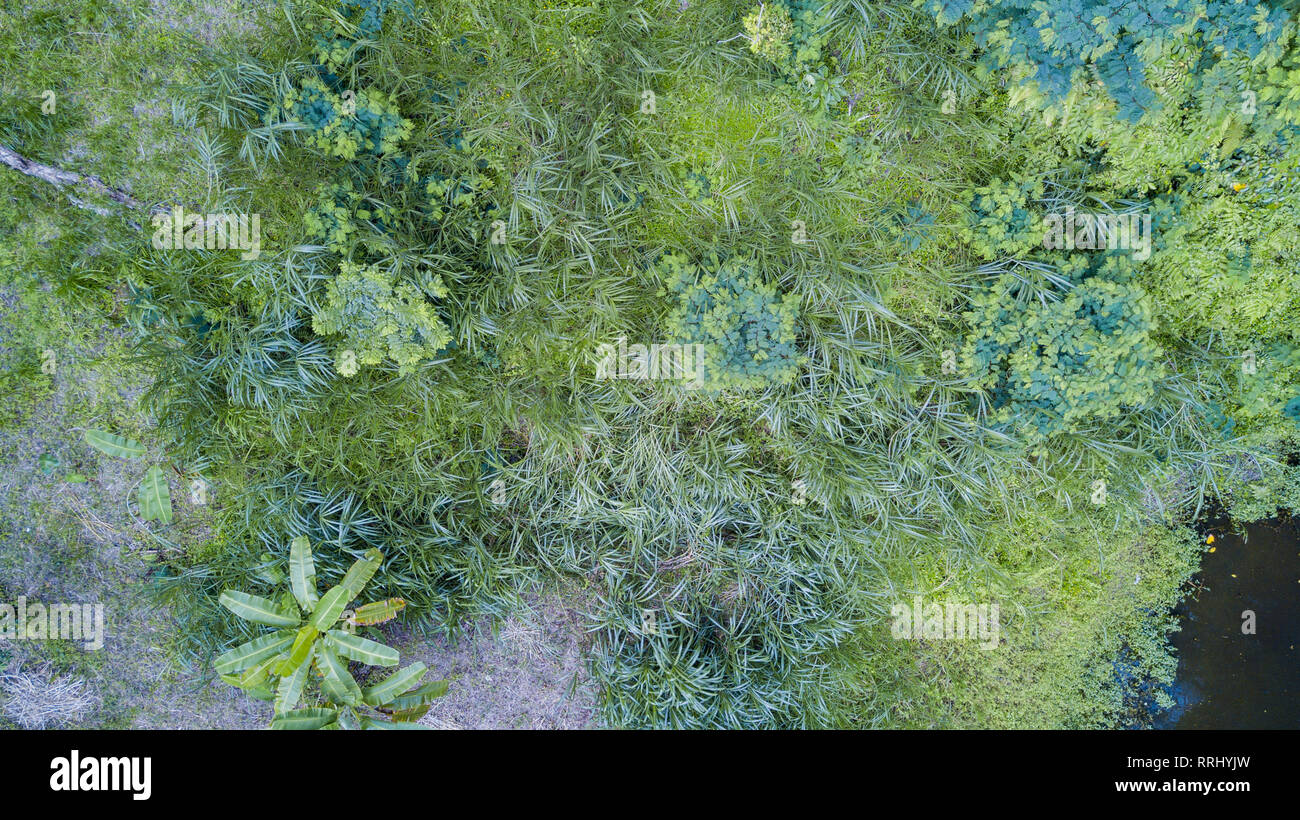 Aerial Of Jungle High Resolution Stock Photography and Images - Alamy